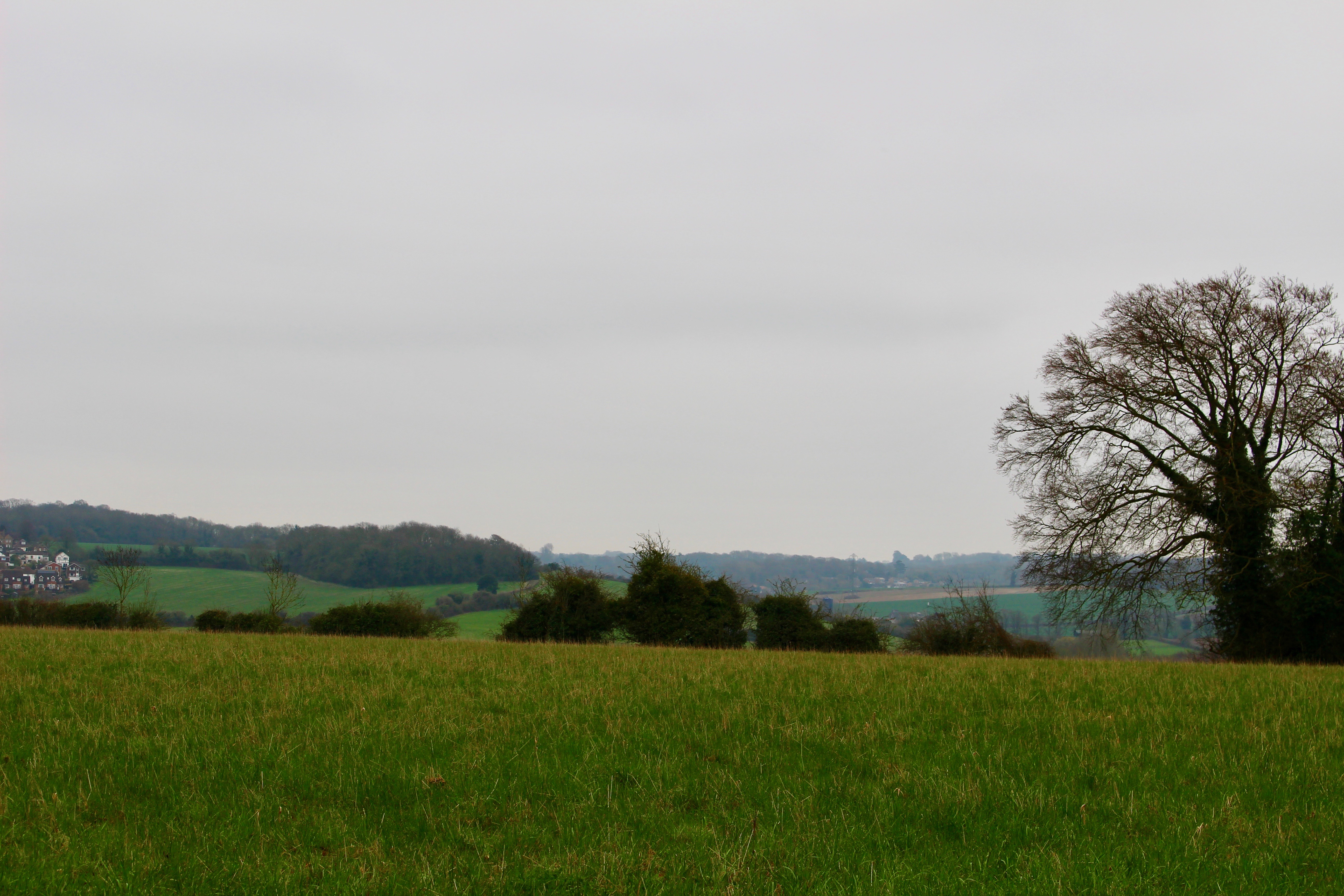 High Elms Country Park | The Brokedown Blog