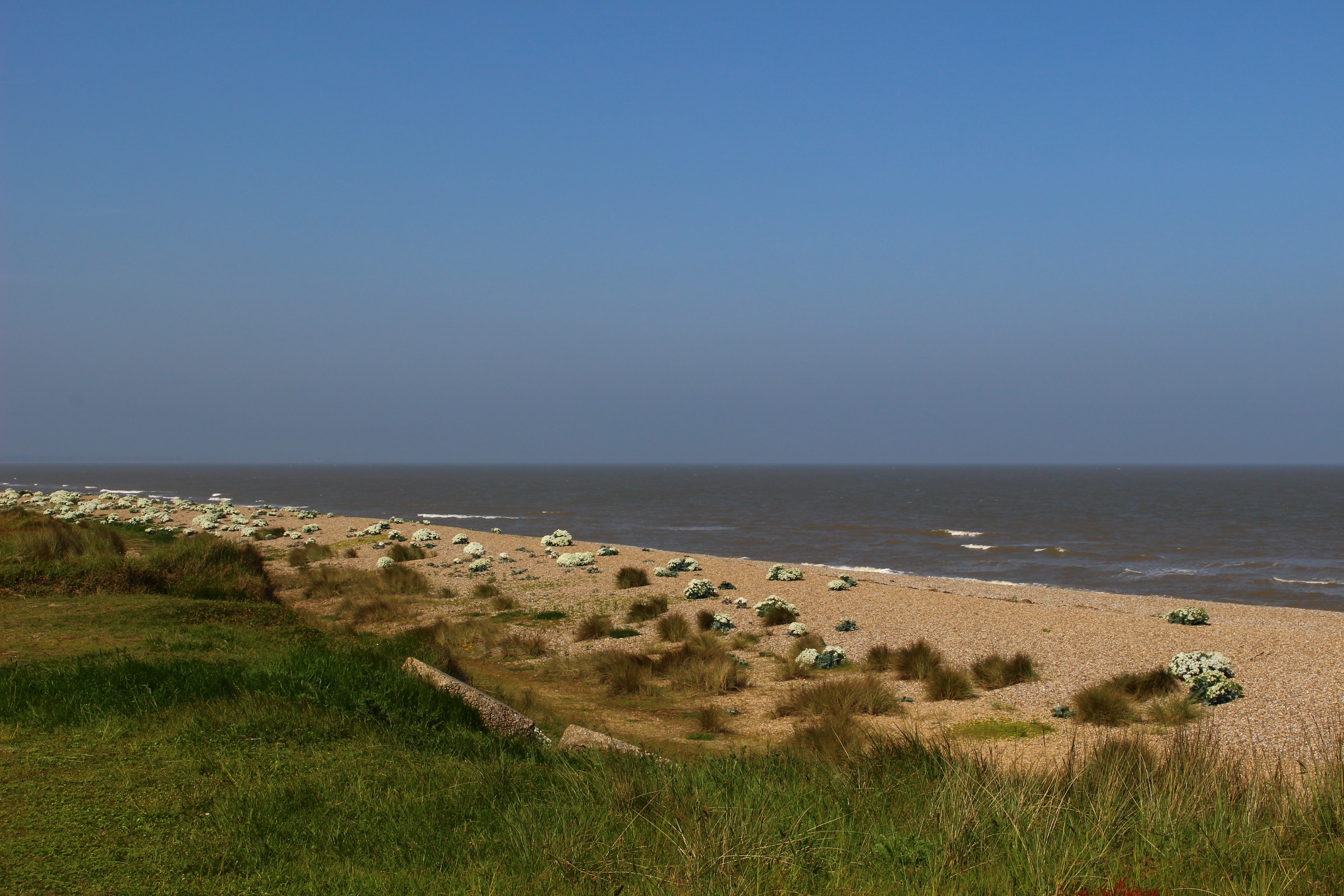 Eastbridge to Minsmere Nature Reserve, Suffolk | The Brokedown Blog